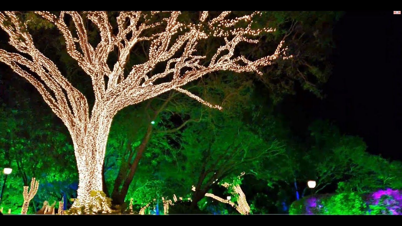 Christmas Lights Barbados - YouTube