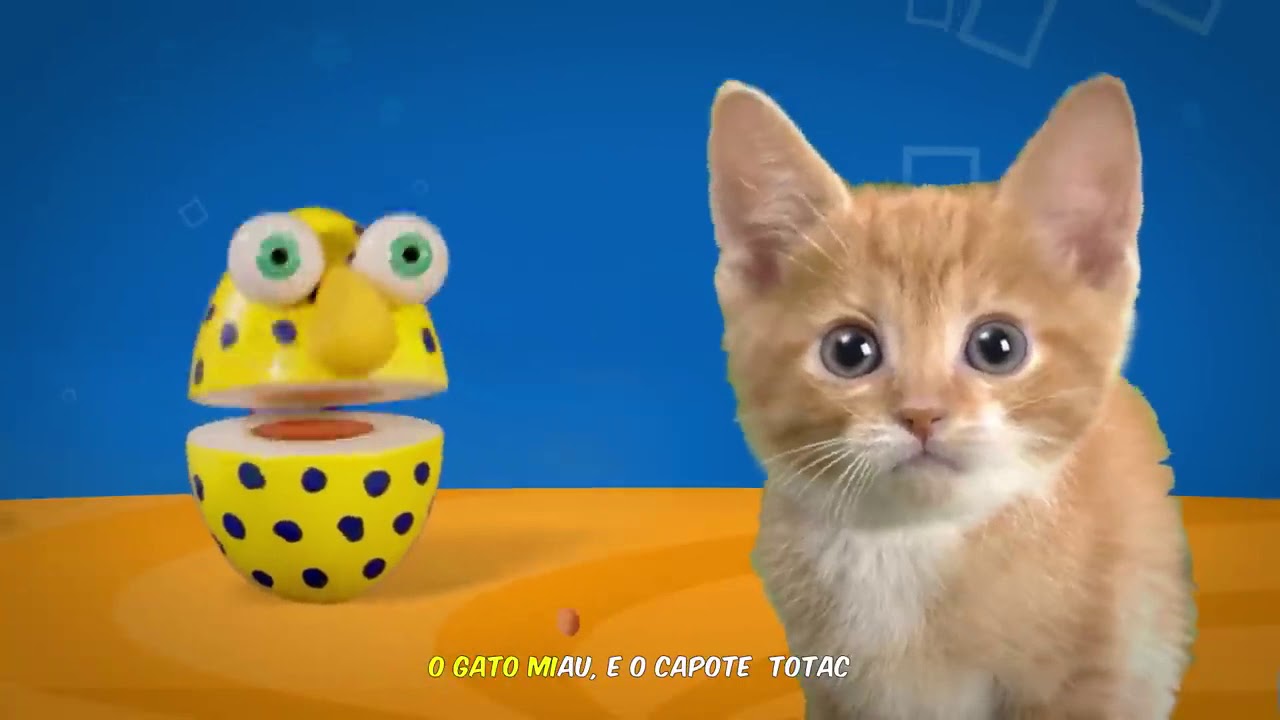 Pintinho Piu Musica - YouTube