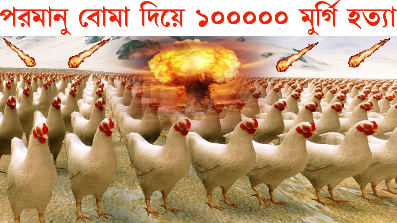 100000 CHICKEN VS ATOM BOMB EPIC BATTLE - YouTube