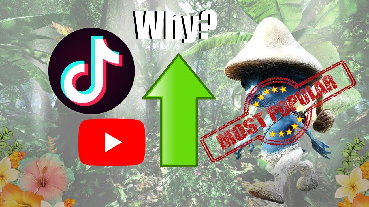 Why did the Smurf Cat Meme become so popular? - YouTube