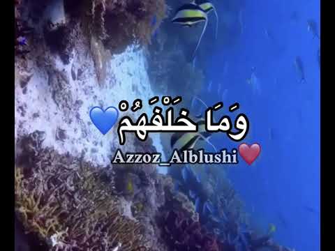 AYATUl KURSI💙|Best recitation|Whatsapp Status|islamic video