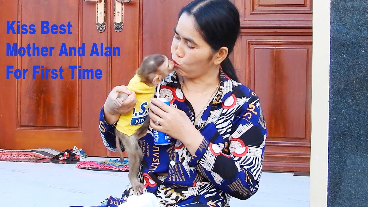 Kiss Best Mother And Alan For First Time | Monkey Alan - YouTube