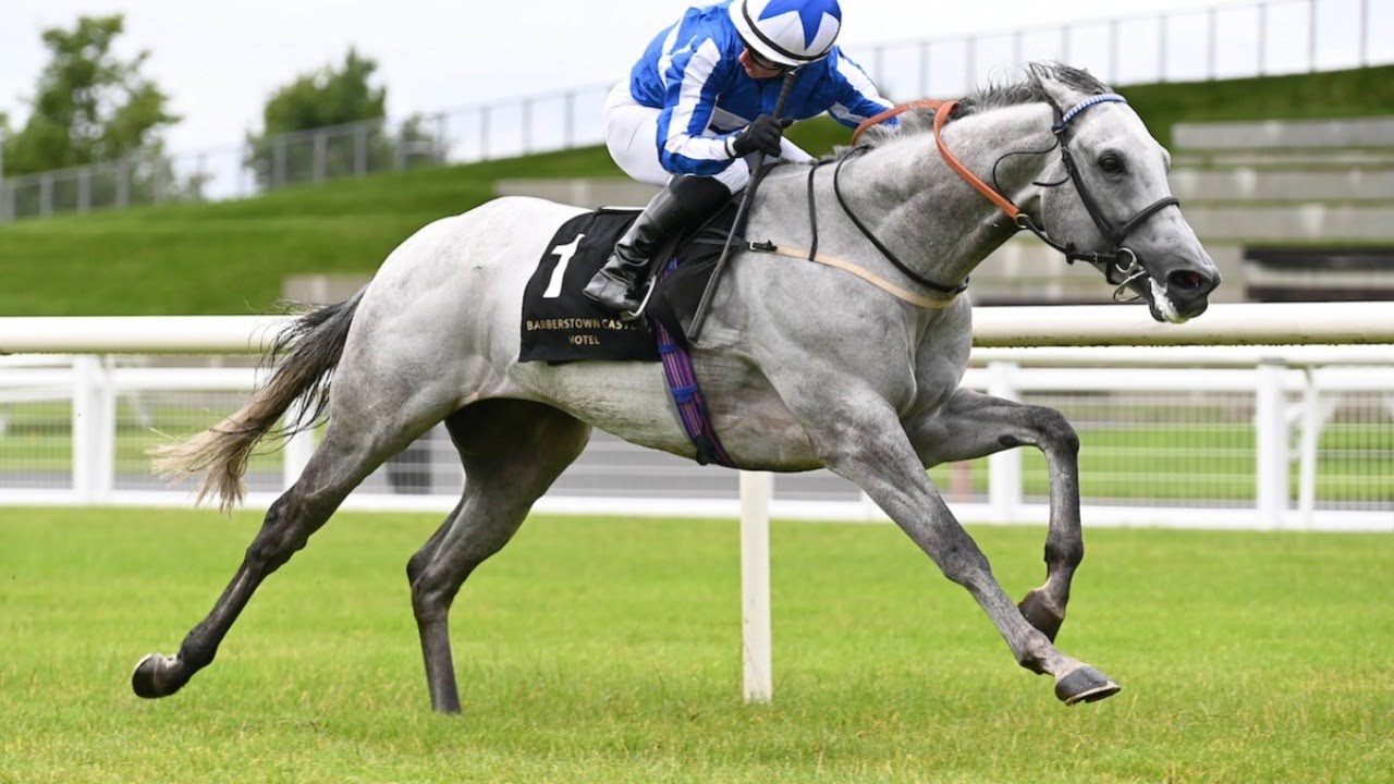 Curragh specialist ART POWER makes it four wins from four visits to the ...