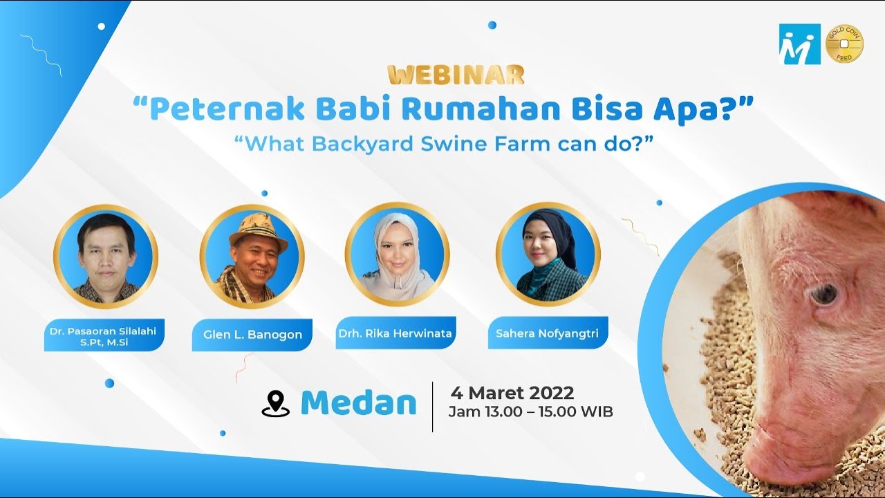 Peternak Babi Rumahan Bisa Apa? - YouTube