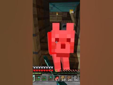 This Cursed Minecraft Video Will Trigger You! #shorts #viral # ...