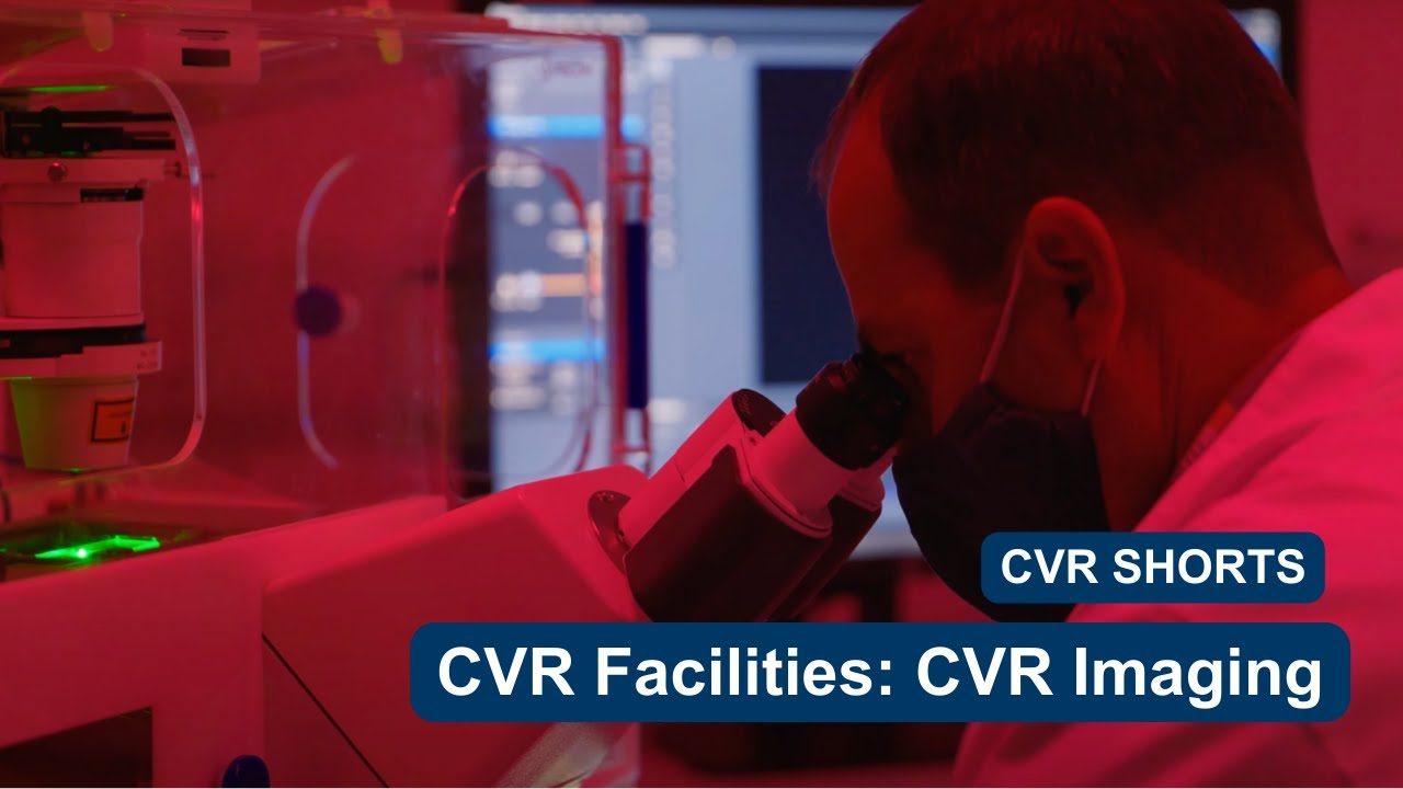 CVR Facilities: CVR Imaging | CVR SHORTS - YouTube