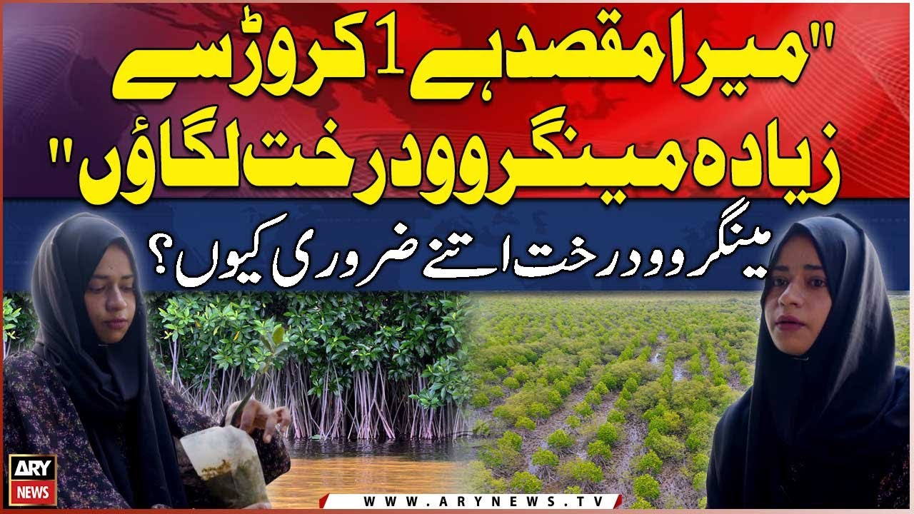 Meet Almas, The Girl on a Mission to Protect Karachi's Coastline - YouTube