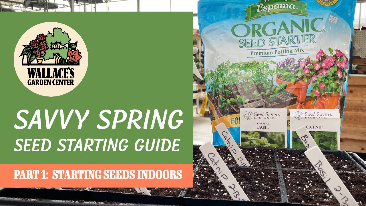 Seed Starting 101: A Guide from Wallace's Garden Center | All Supplies ...