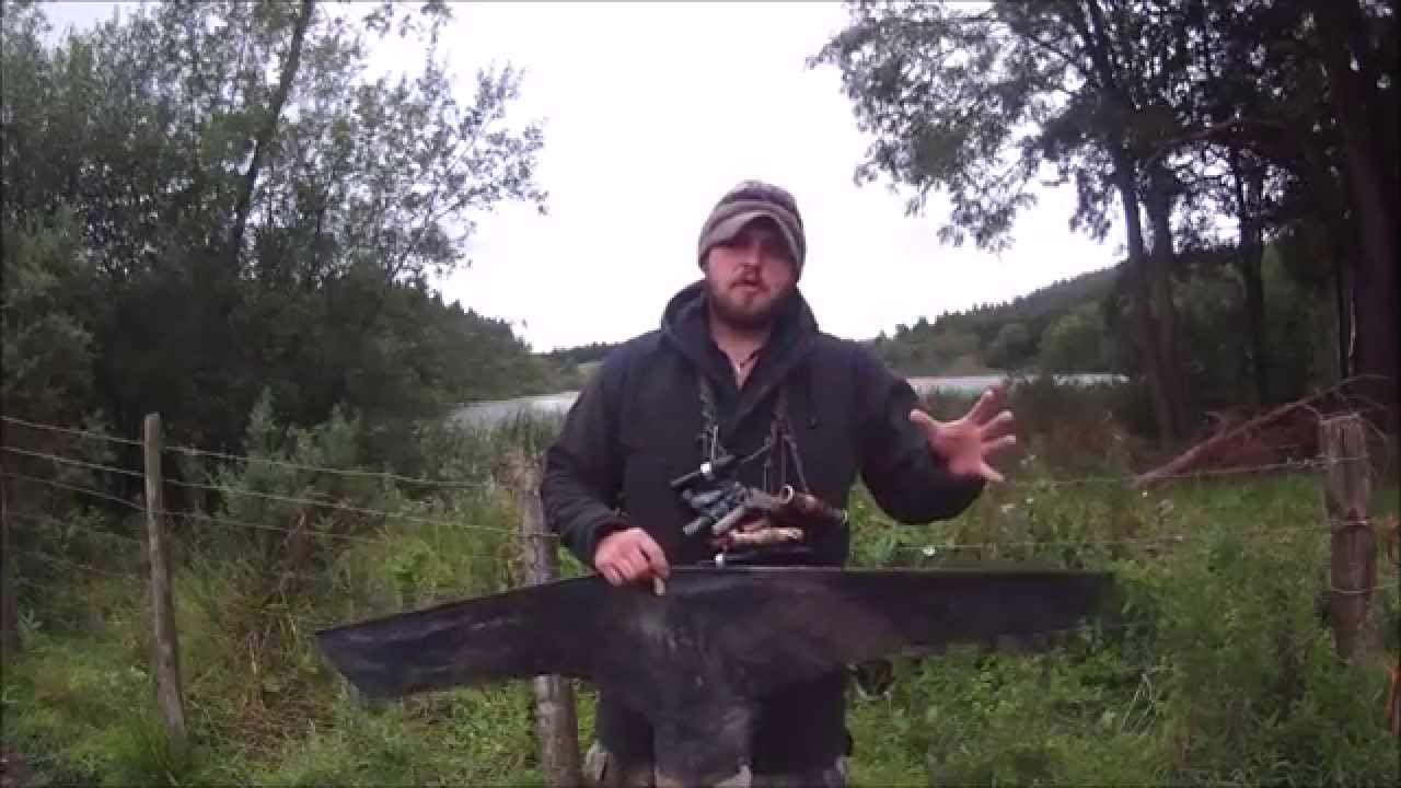 Flagging down the Geese - YouTube