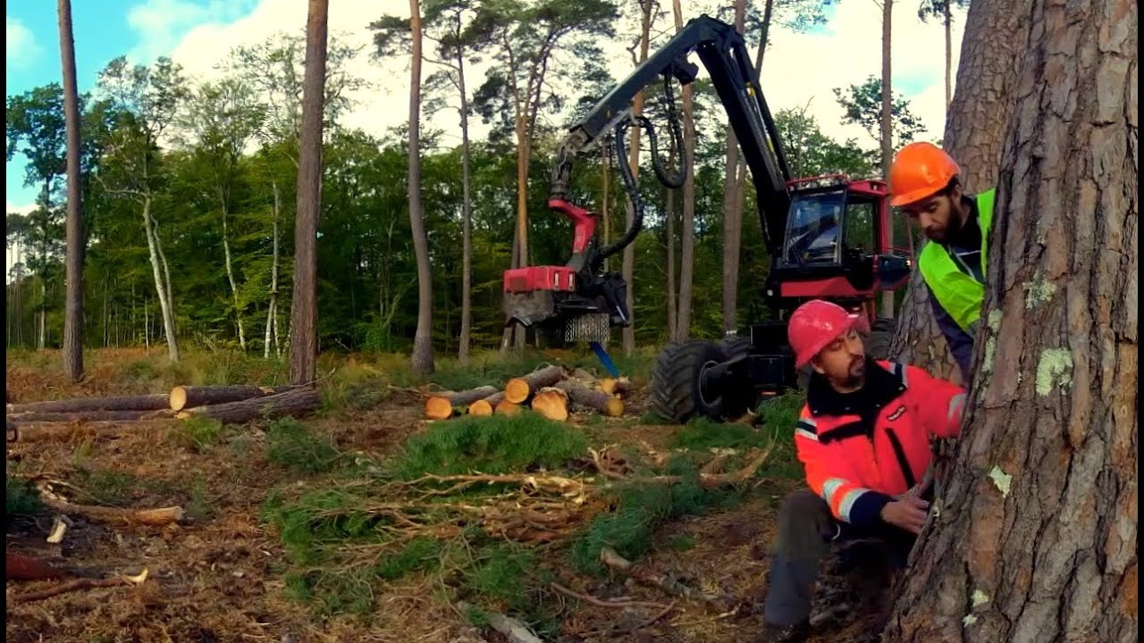 Docu-fiction 360°: apprenti conducteur de machines d'abattage - YouTube