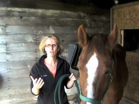 Jamie & Cody - Cushings Testimony - YouTube