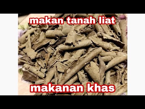 makan tanah liat,ampo tanah liat makanan extrim dari Tuban Jawa timur ...