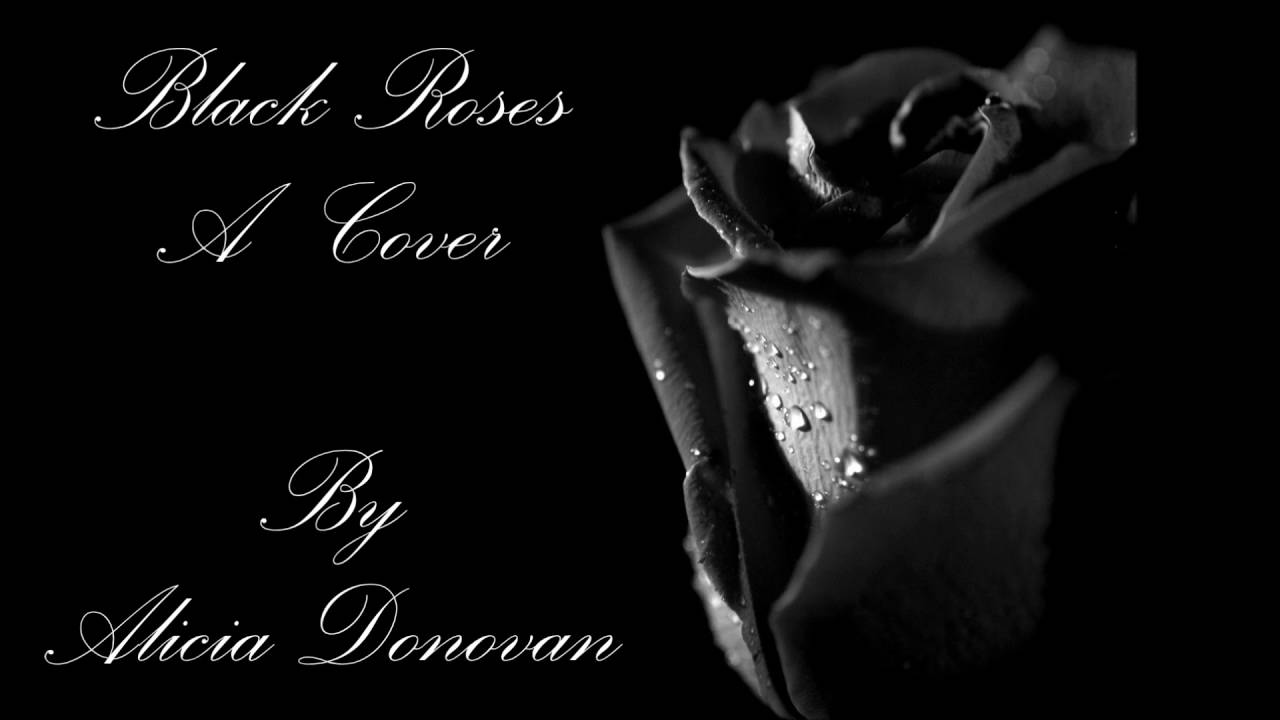 Black Roses Cover - Alicia Donovan - YouTube