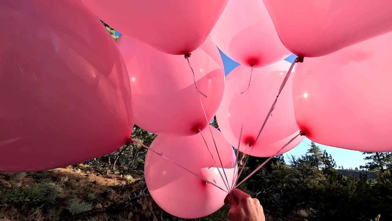 Hiking with 8 Pink 17 Inch TufTex Helium Balloons, NonPop, 4K, Forest ...