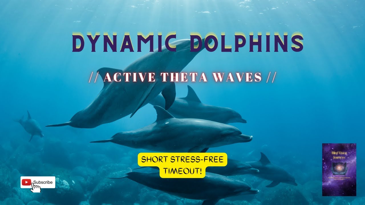 Short Powerful Swim With The Dynamic Dolphins - YouTube