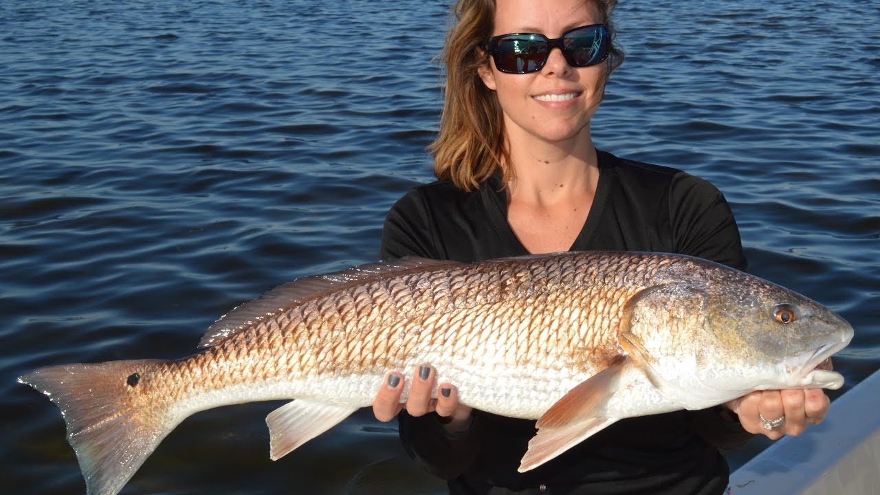 Girl Fishing for Redfish Tampa Bay Florida - YouTube