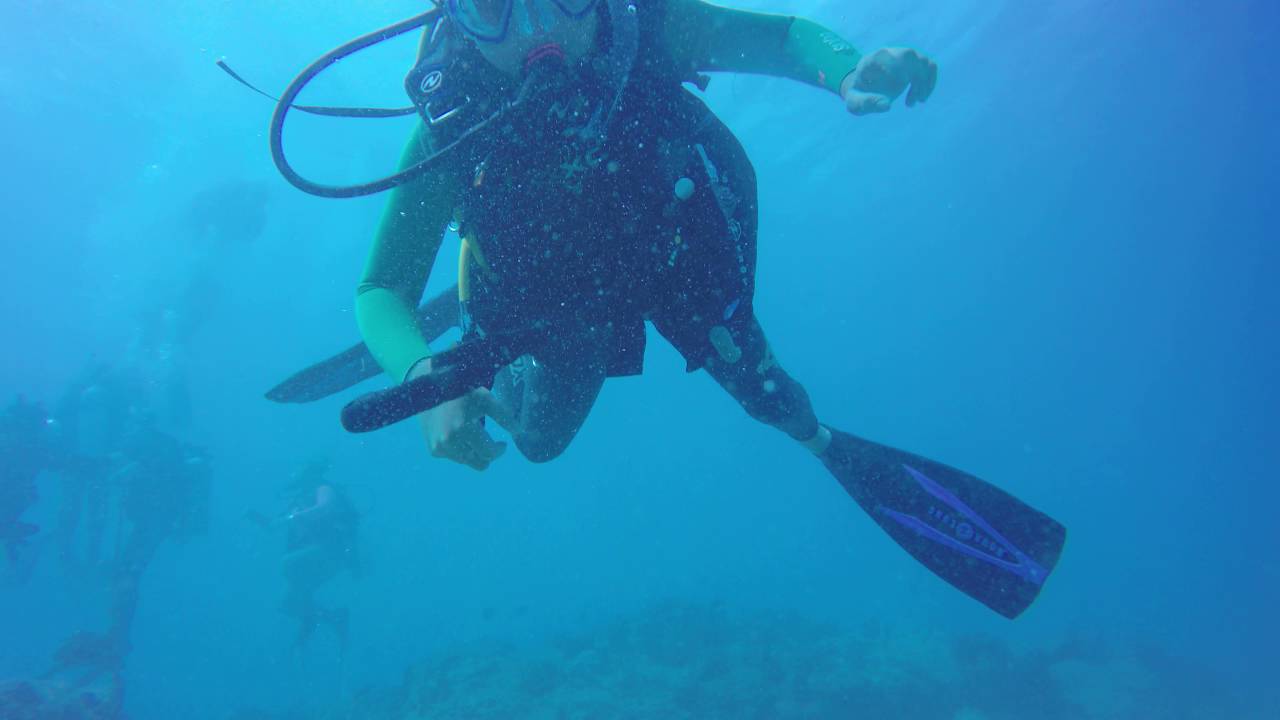 OAHU, HAWAII - Scuba Diving Honolulu - May 2016 - YouTube
