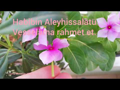 Allah'ım hakkımızda hayırlısı neyse o olsun - Dini Mesajlar