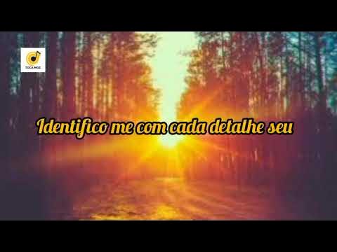 Cofres do Céu - C4 Pedro 2022 Letras - YouTube