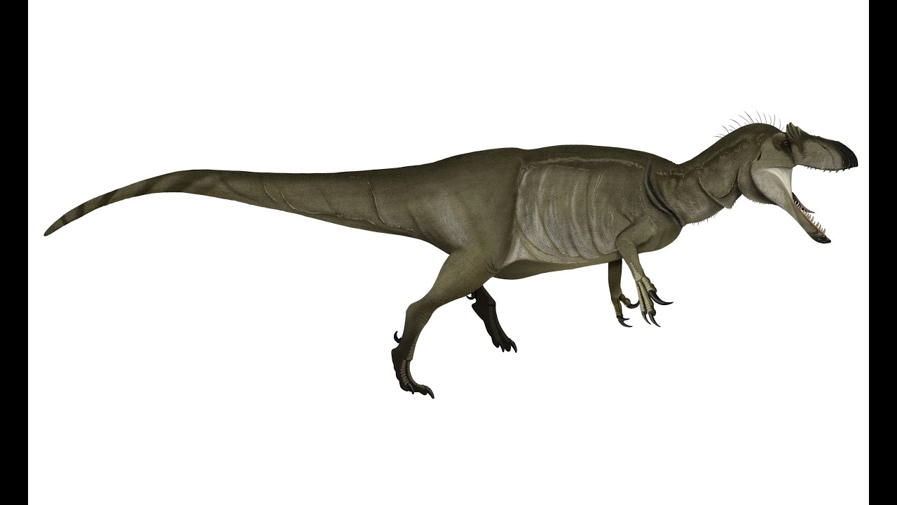 Bahariasaurus