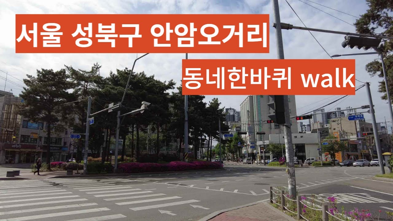 서울성북구안암오거리 걷기//Walking on Anam Five-way Intersection in Seongbuk-gu ...
