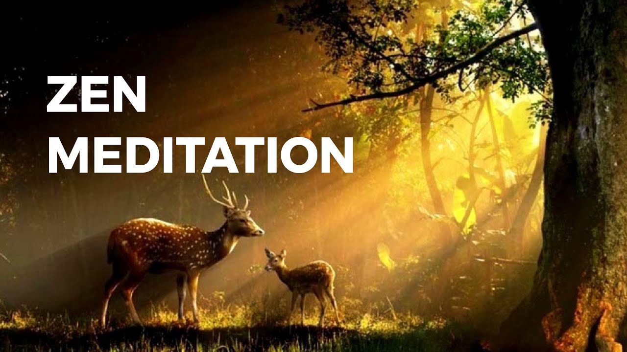 Zen Meditation Music, Woodland Escape, Journey Through the Forest ...