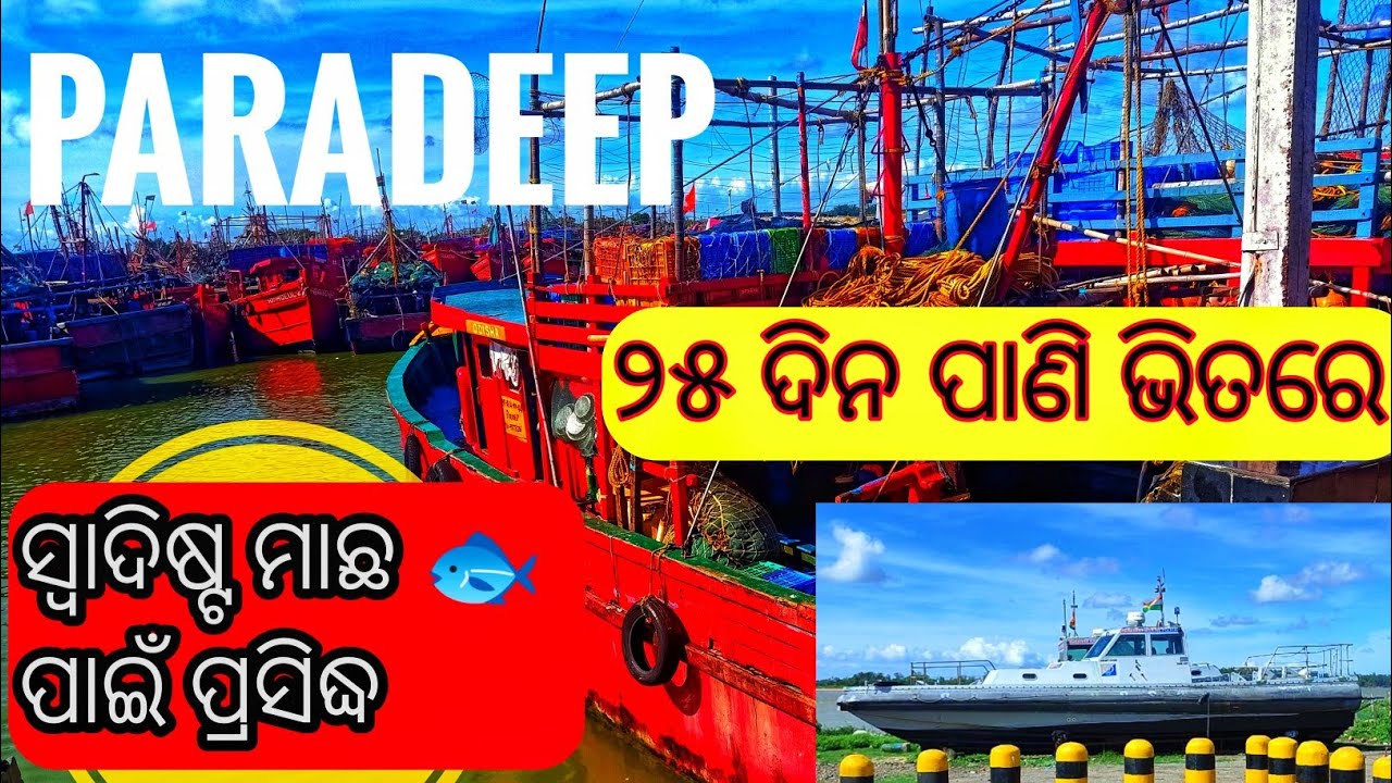 Paradeep Fishing Harbour 🐟 | Paradeep Port | Paradeep Fish Market ...