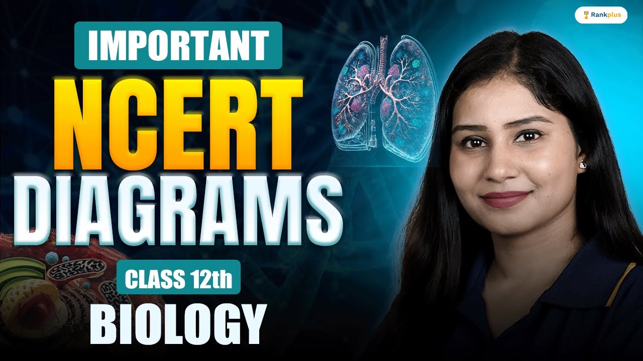 Important NCERT Diagrams | Class 12 Biology | Half Yearly Exams | Tamsa ...