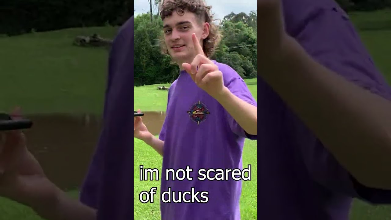 i AM NOT scared of ducks - YouTube