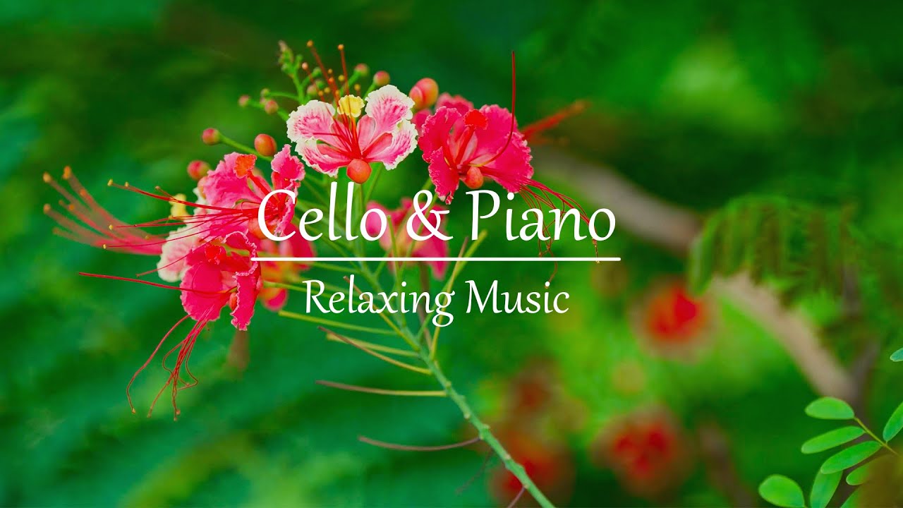 HAPPY MORNING MUSIC - Wake Up Happy - Soft Morning Meditation Piano ...