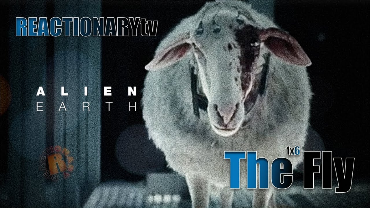 REACTIONARYtv | Alien Earth 1X6 | "The Fly" | Fan Reactions | #Alien ...