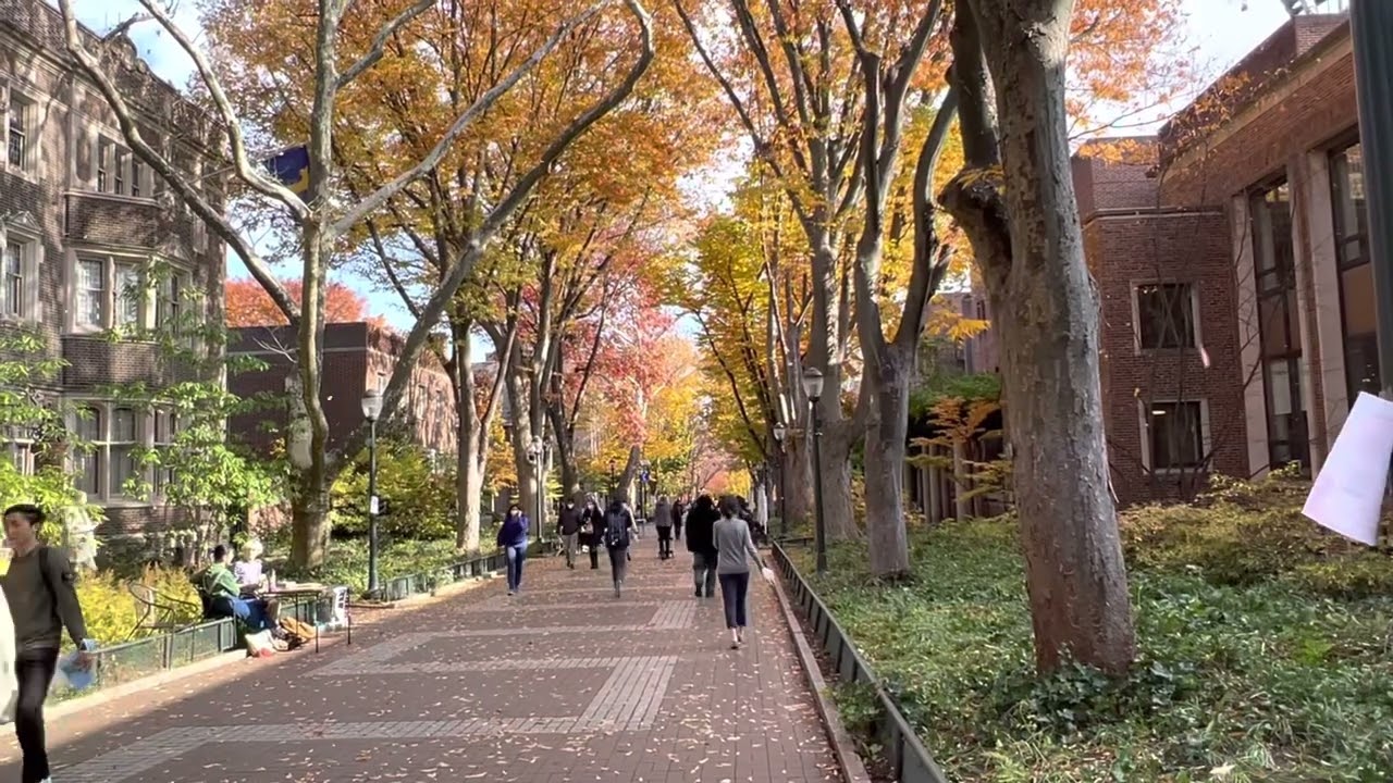 Upenn Campus Locust Walk