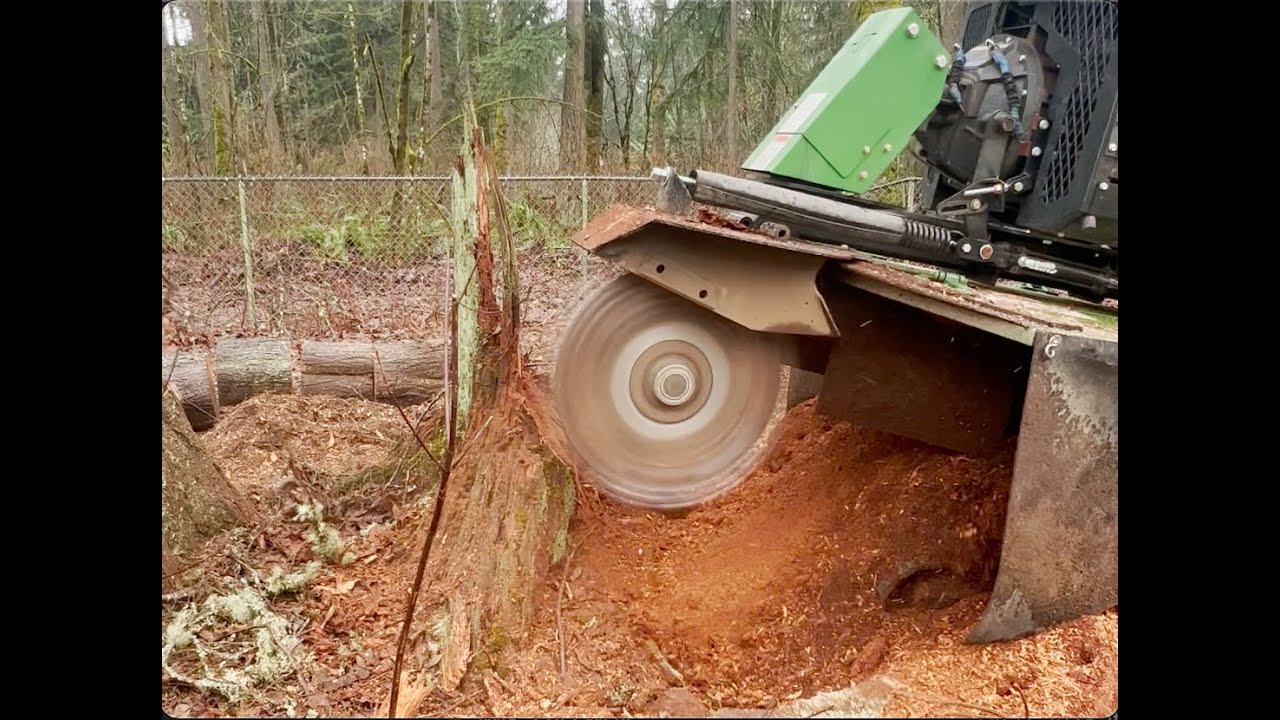 10 Minute Cedar Stump Removal In Real Time! - YouTube
