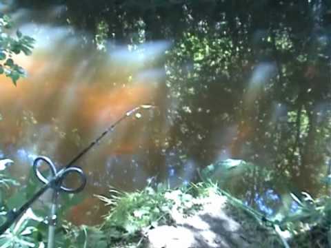 Feeder fishing for Trout and Roach on the River Dronne.(video 36) - YouTube