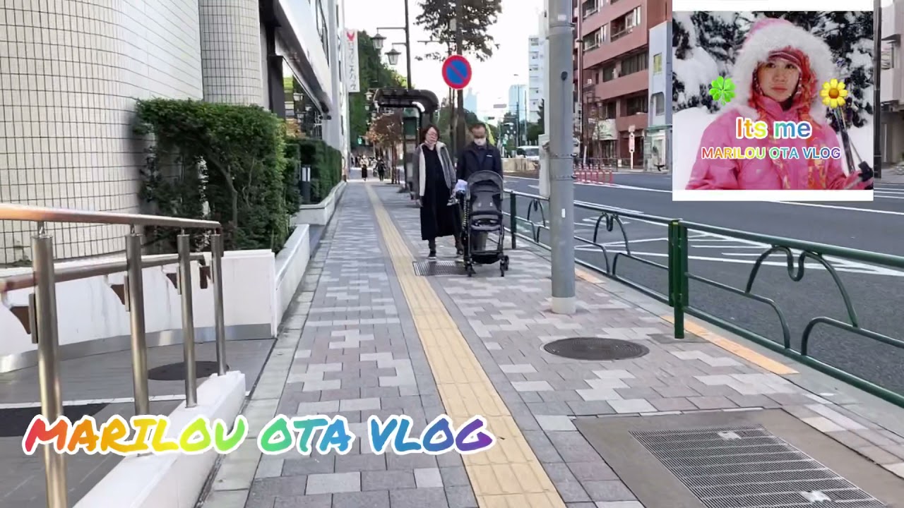 TOKYO,TAITO-KU ,NEZU STATION,walking around. - YouTube