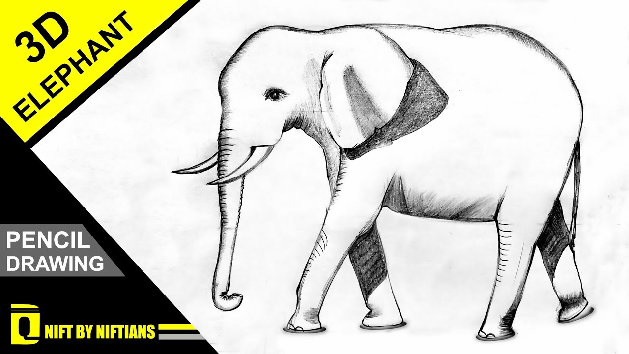 How To Draw An ELEPHANT using Grid | Pencil Drawing [Dezine Quest ...