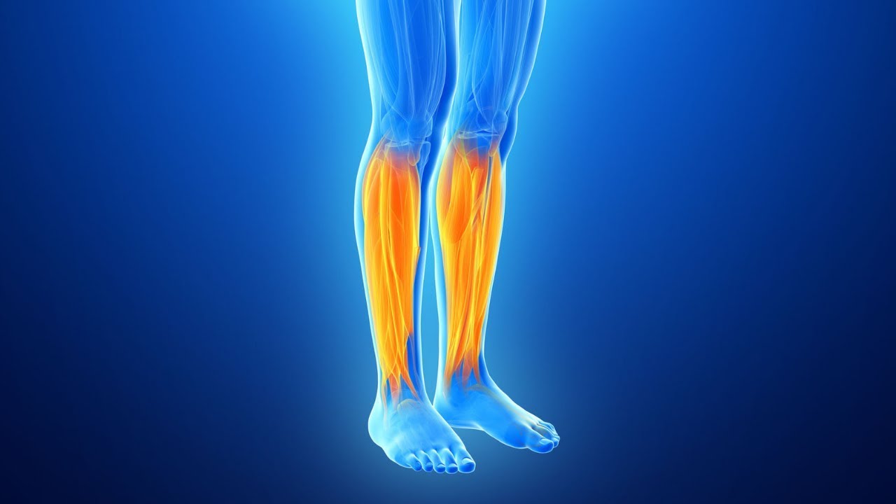 Calf Pain Causes And Effective Treatment YouTube Calf Pain Causes And Effective Treatment YouTube