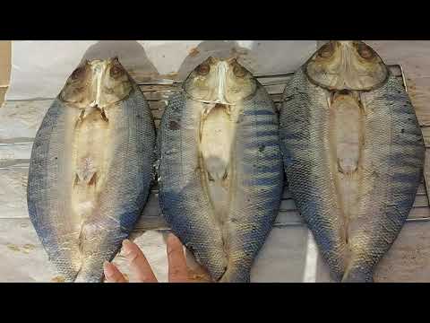 daing bangus dried w/in 8hours. #10V - YouTube