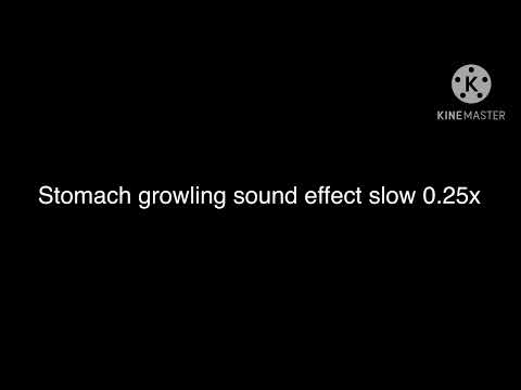 Stomach growling sound effect slow 0.25x - YouTube