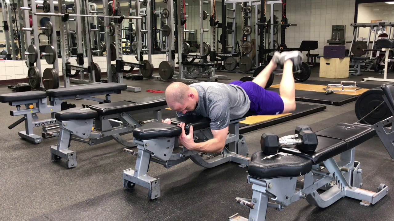 Reverse Hyper off Bench - YouTube