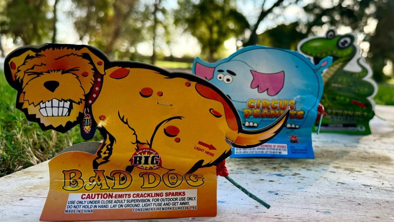 Poopy Dog Firework