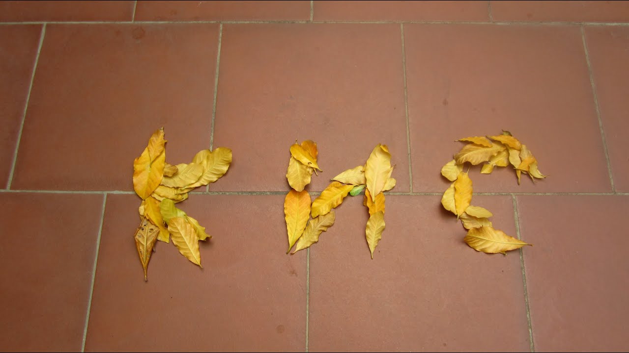 KNC - Kids' News Channel | Channel Trailer - YouTube