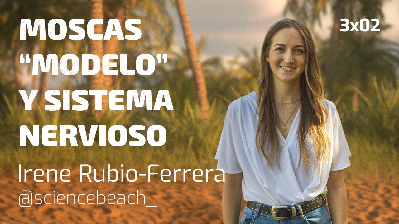 SB 3x02 - Moscas "modelo" y sistema nervioso: Irene Rubio-Ferrera ...