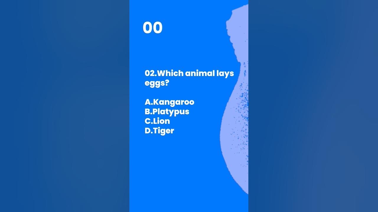 Are You Smart Try To Answer These Simple Questions About Animals are-you-smart-try-to-answer-these-simple-questions-about-animals