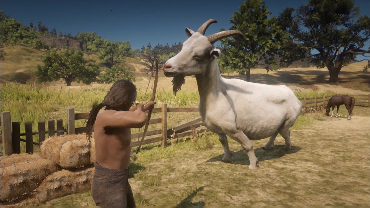 RDR2 - Hunting big goats in a farm - YouTube