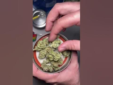 Strain review: Romulan - YouTube
