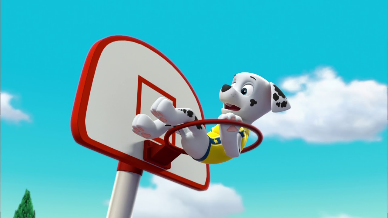 Marshall Wins The Game - PAW Patrol - YouTube