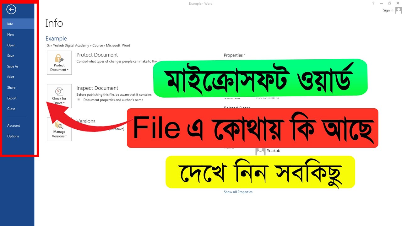 How to use File tab in MS word (2025) | Use All Option Of File Menu ...