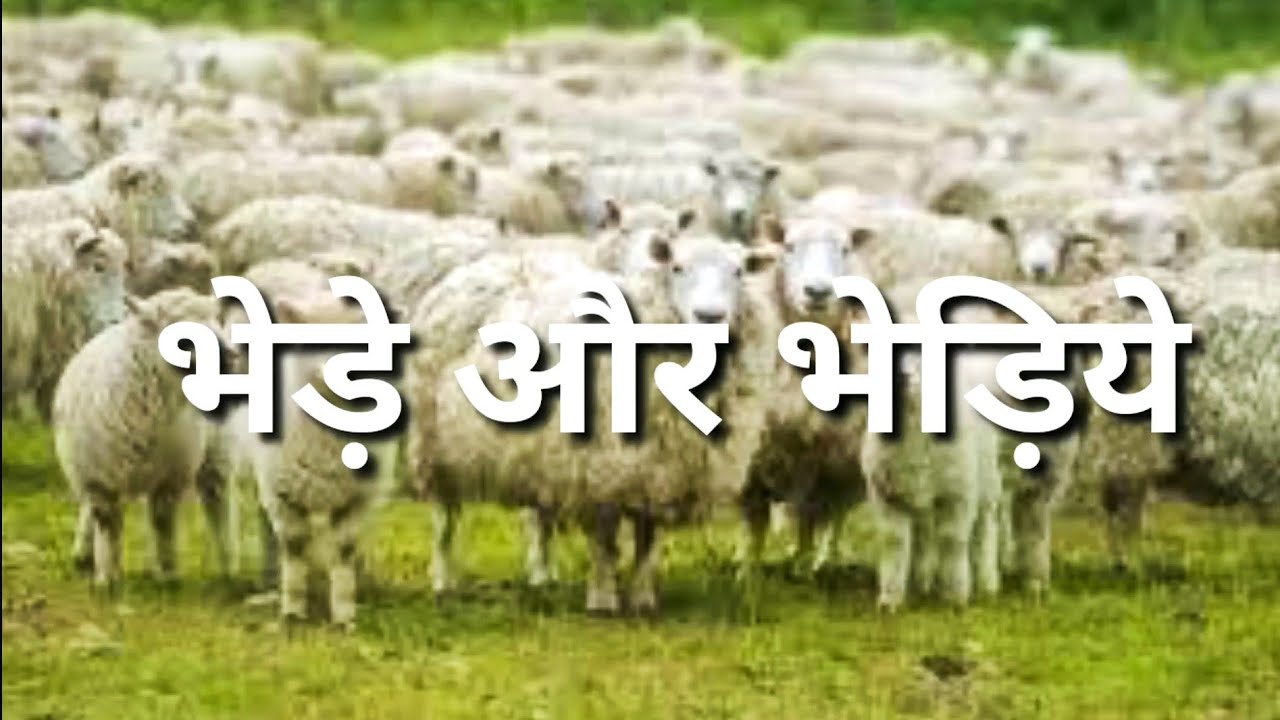 Bhede aur Bhediye, lekhak Harishankar Parsai, short story, icse and ...