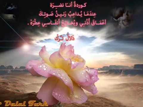 Dalal Turk
